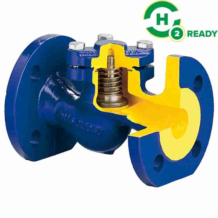 Distributor Zetkama Check Valve Dn 25 Pn 40 - Zetkama Surabaya | Valve ...